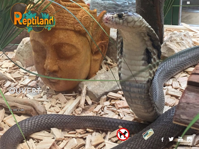 Reptiland | Netguide