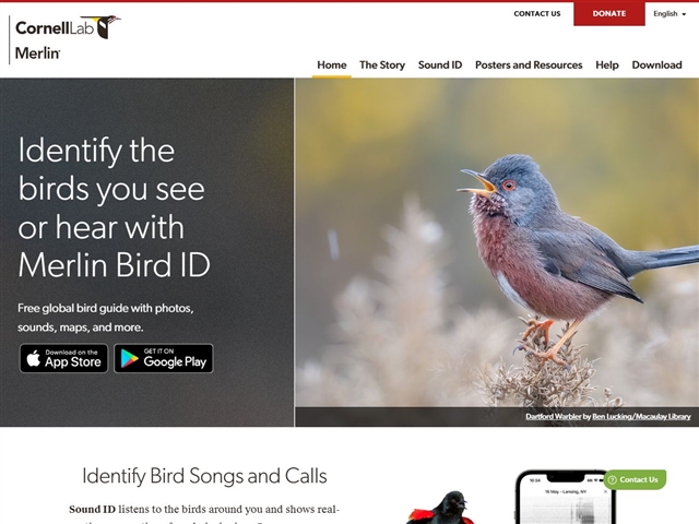 Merlin Bird ID | Netguide